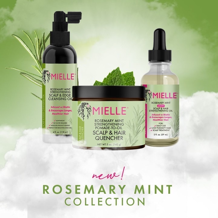 Fashion Bomb Hair: Mielle Organics Released their New Rosemary Mint ...