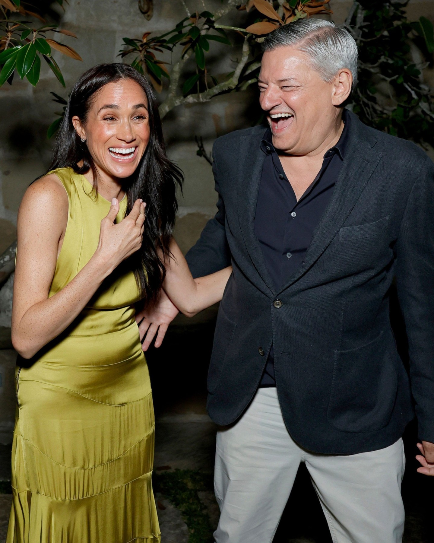 Prince Harry, Meghan Markle, Ted Sarandos, and Nicole Avant Gather in ...